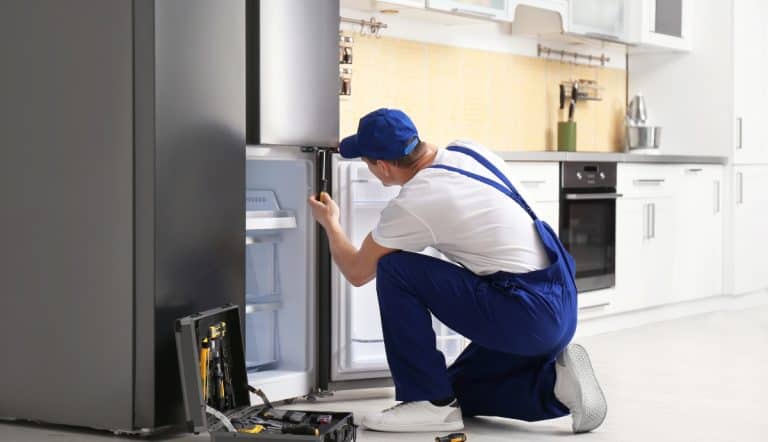 Why Fridge Is Making Buzzing Noises (And How To Fix It)