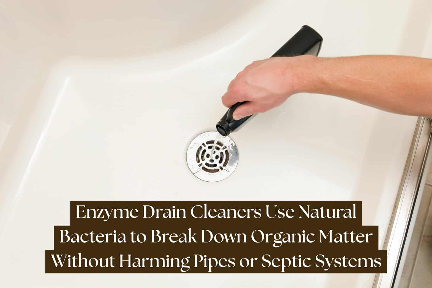 12 Ways To Get Rid of Drain Flies (Natural & Chemical Methods)