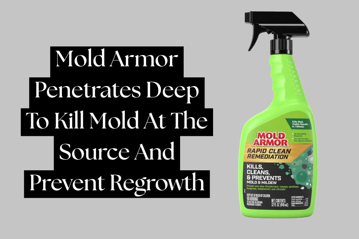 10 Ways To Remove Mold From Wood And Furniture