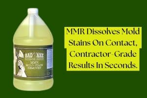 10 Ways To Remove Mold From Wood And Furniture